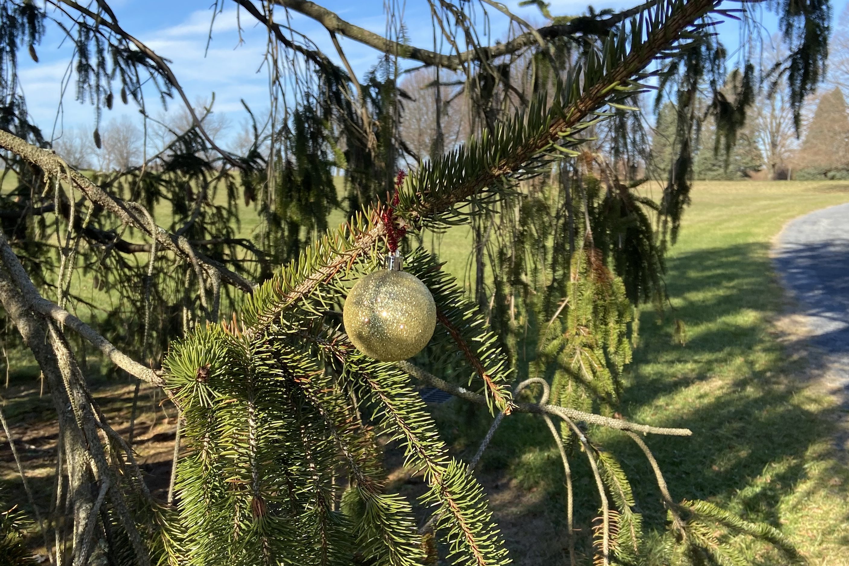 Elfin Magic – Pilgrimages and Paths